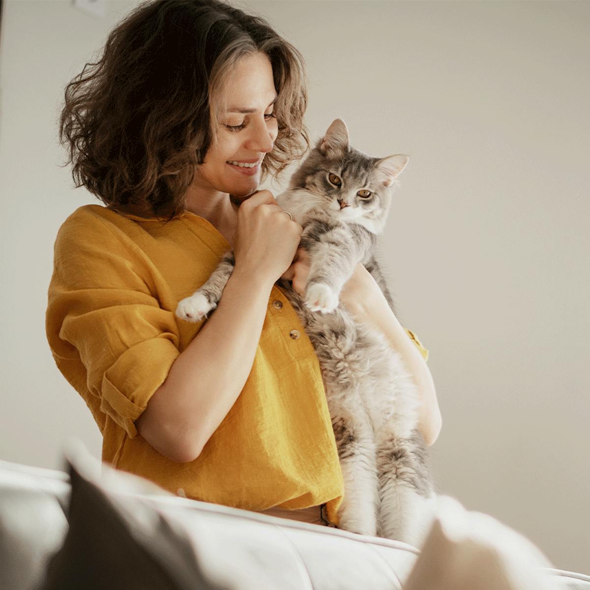 Le coryza du chat : comment le détecter et le traiter ? | Les conseils ...