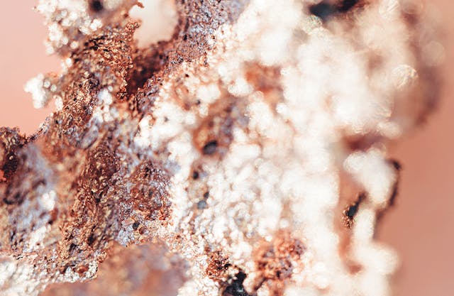 Boiron, Laboratoire pharmaceutique français – Référent mondial de l ...