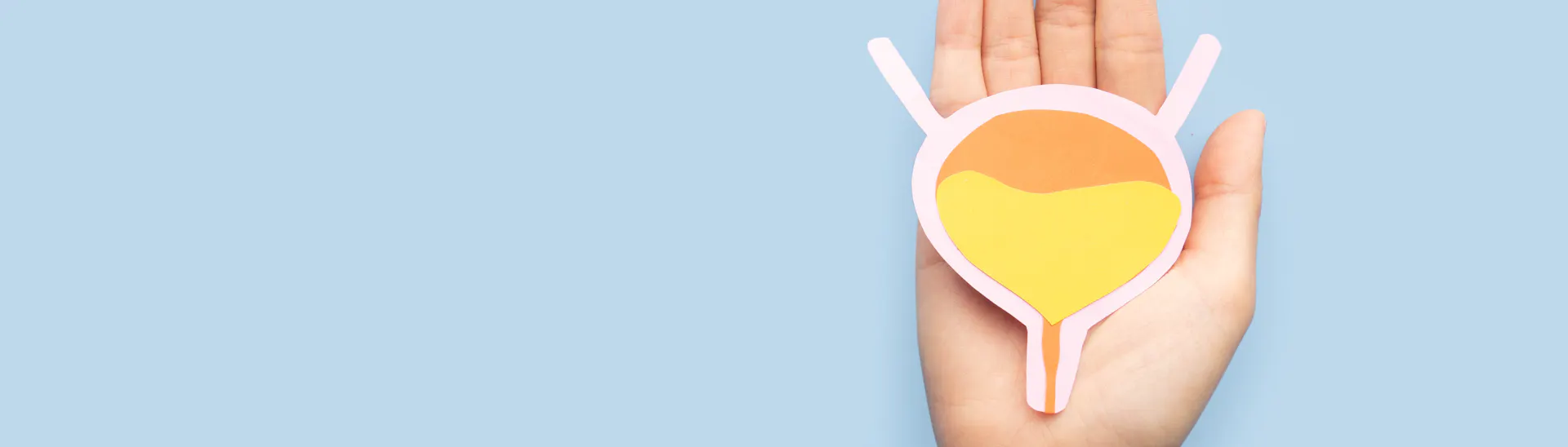 Quelles sont les solutions naturelles pour apaiser une vessie ...