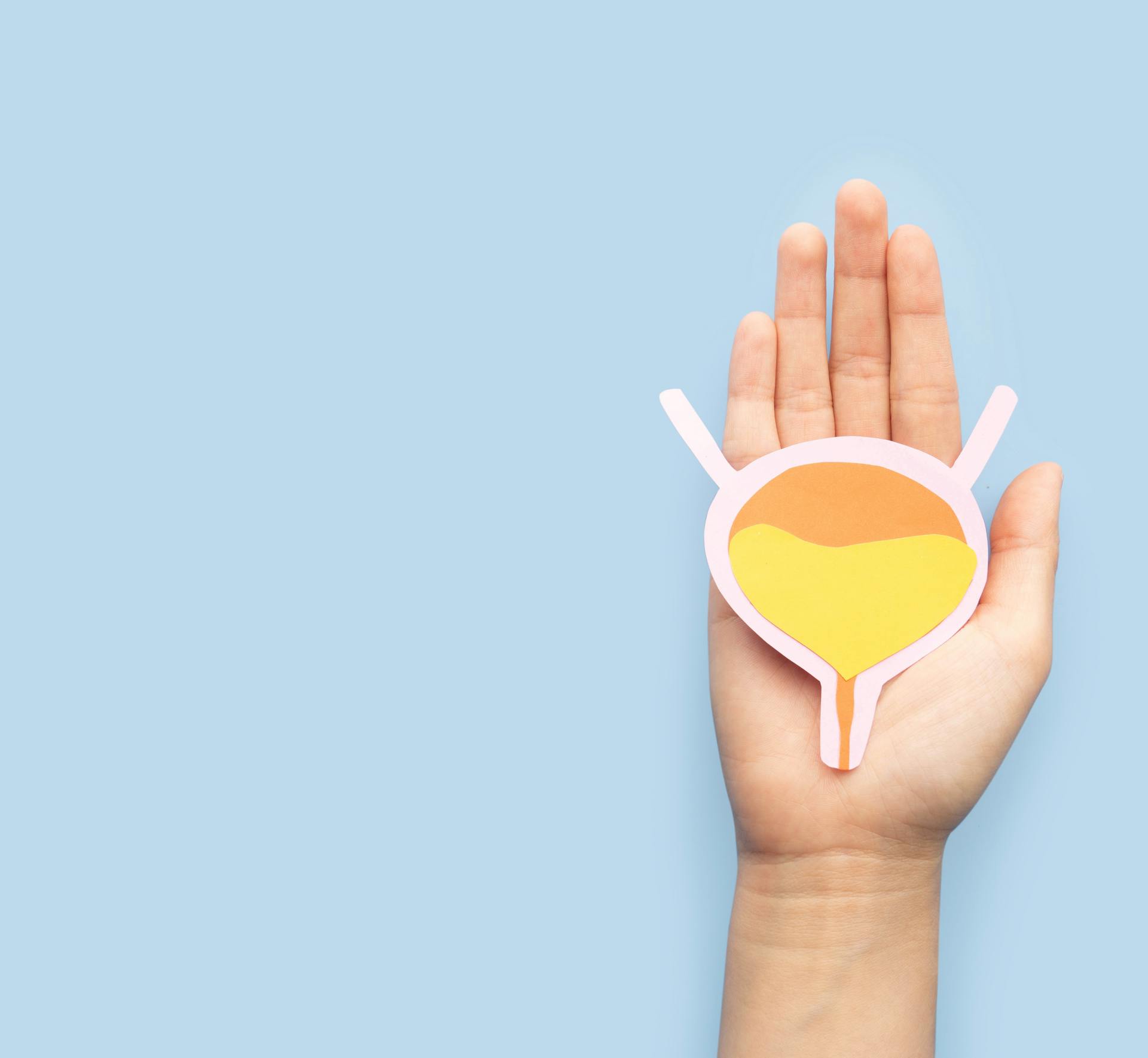 Quelles sont les solutions naturelles pour apaiser une vessie hyperactive ? | Les conseils Vie ...