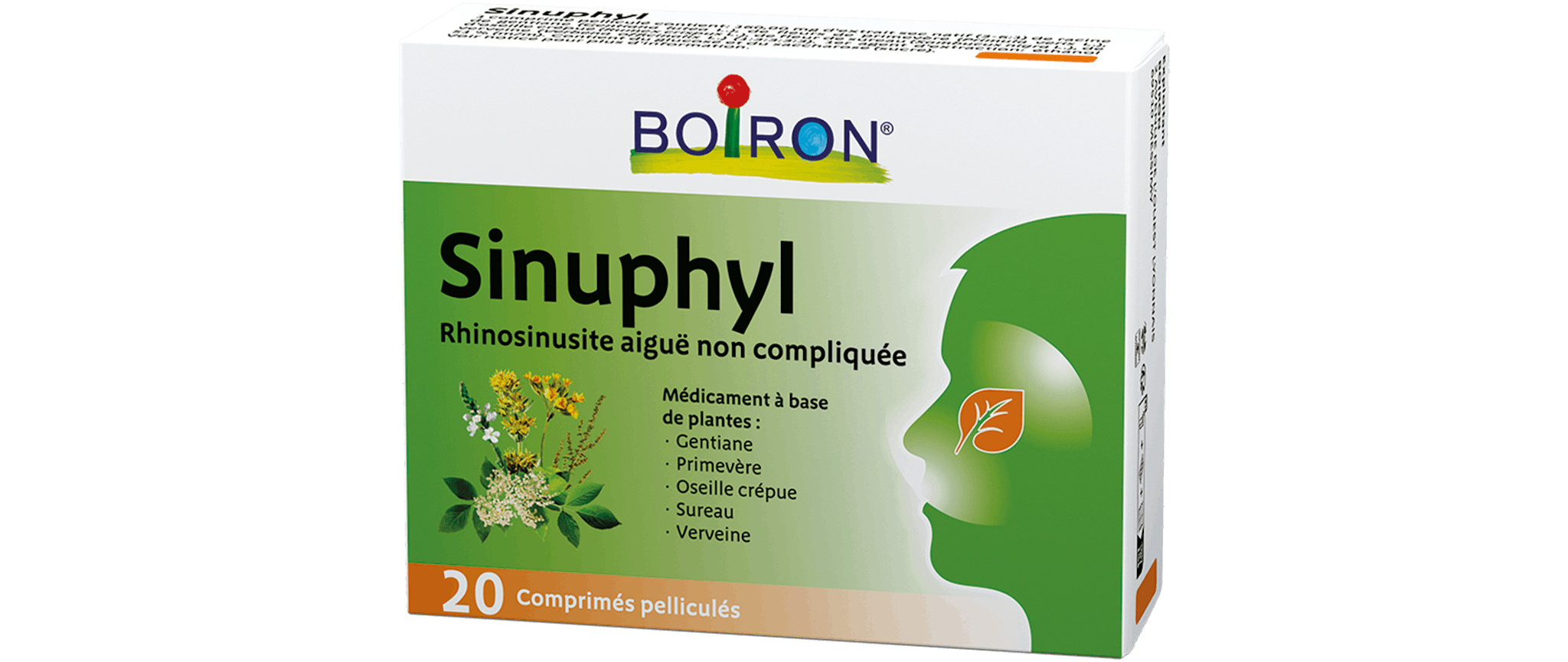 Sinuphyl®, nos médicaments Boiron - Composition, posologie et utilisation