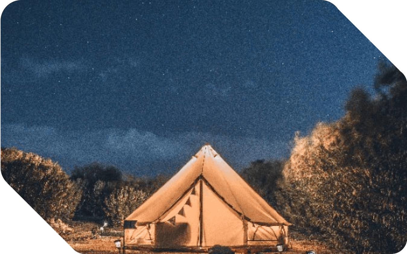 Bot It 1 Minute Bot Easy Online Automation Automate Campground