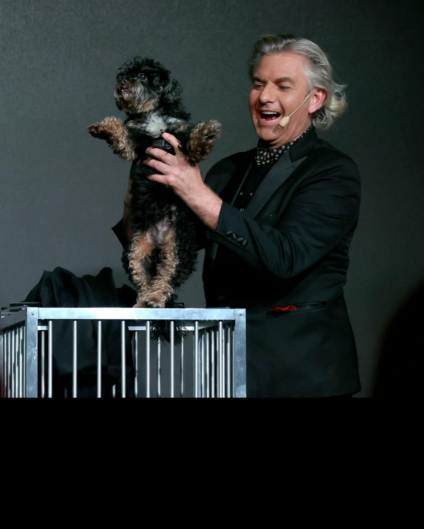 Joe Labero Magic Show | La Botanica | Mall of Scandinavia