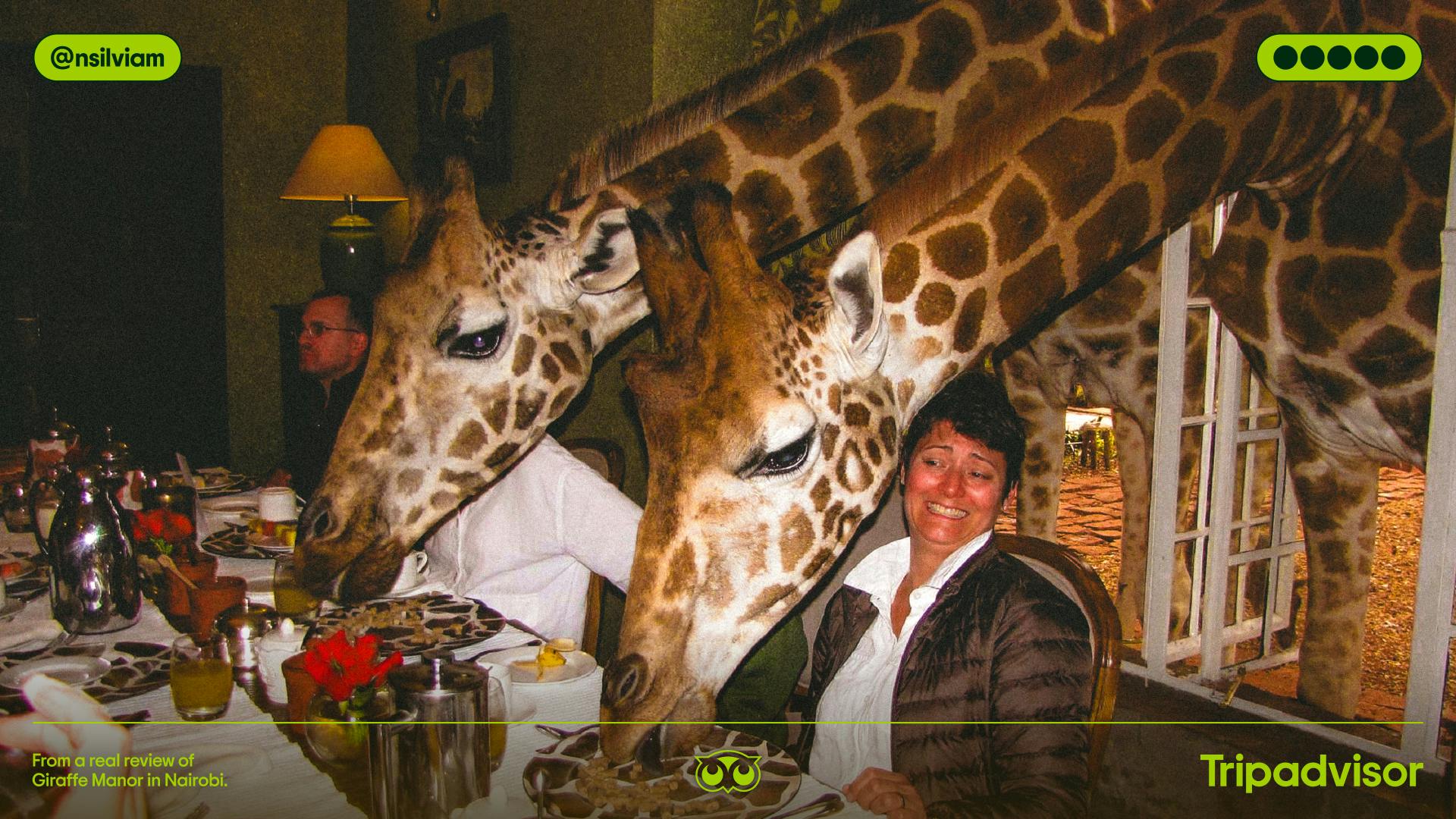 Tripadvisor Rebrand 2025: Celebrating 25 Years of Travel Reviews