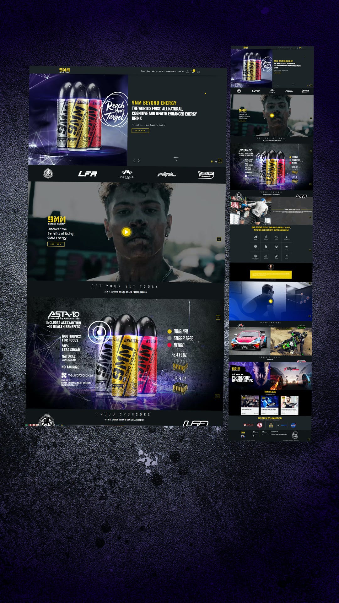 Brand Vault 360: Website Portfolio - See Our Work