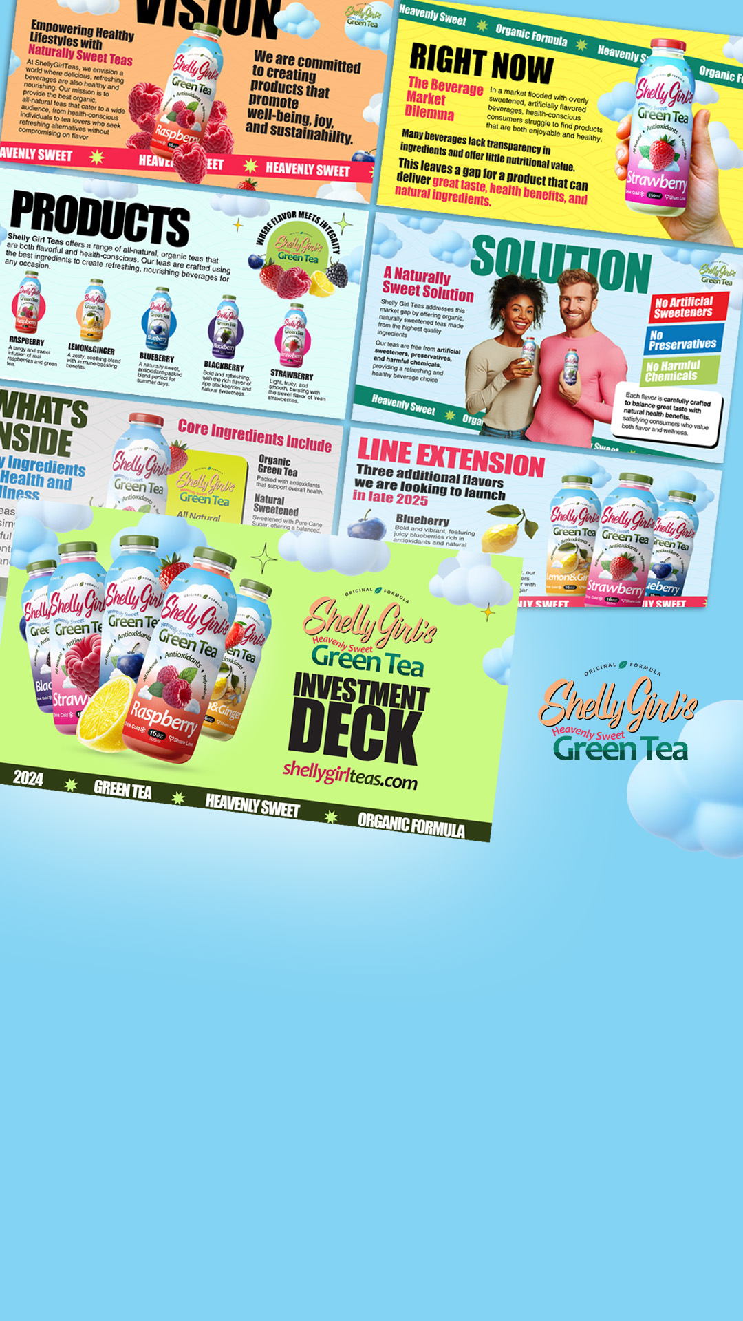 BrandVault360: Investor Deck Design That Wins Funding