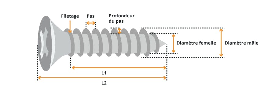 Quelle Vis Choisir ? → Types • Usage • Caractéristiques