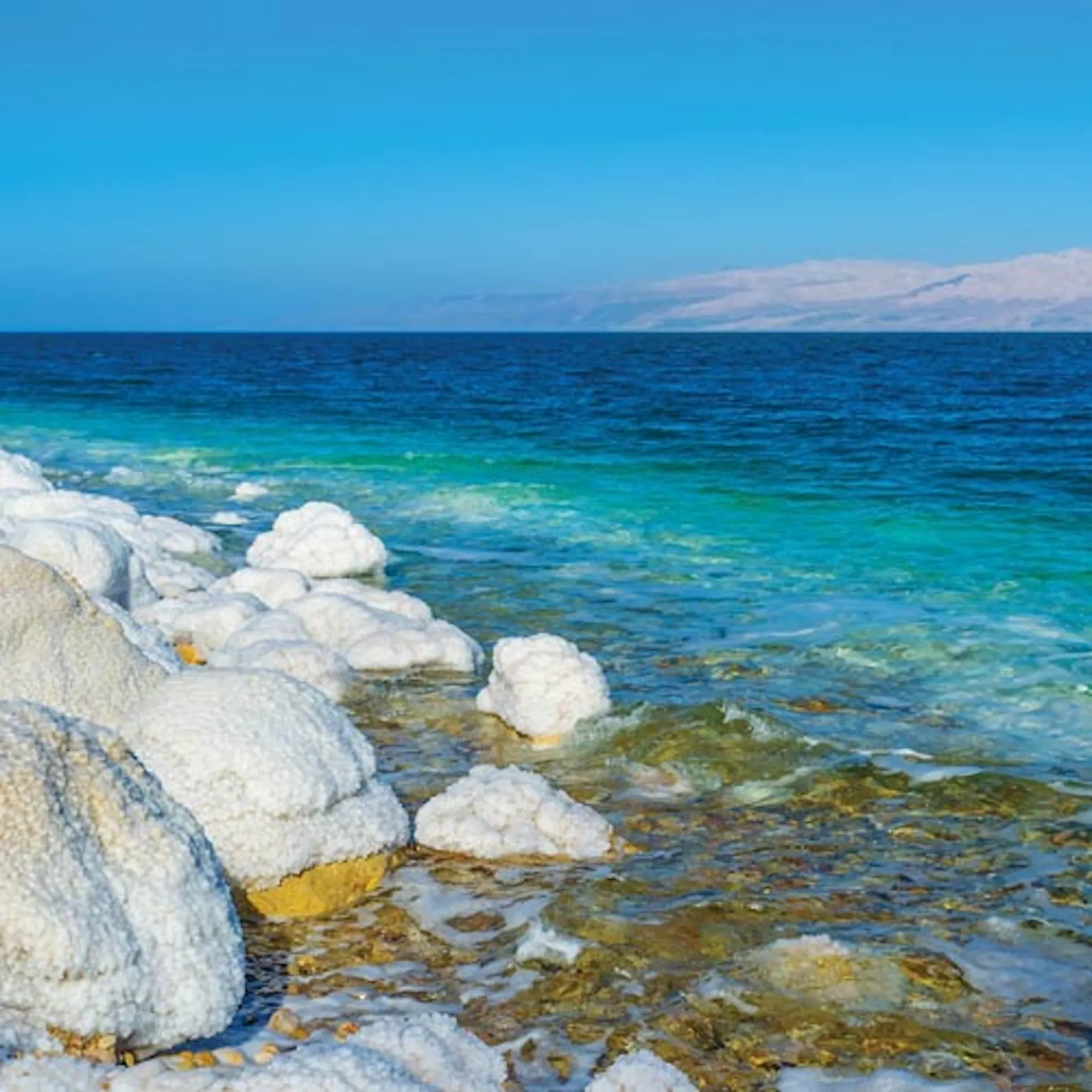 Hidden Life of the Dead Sea