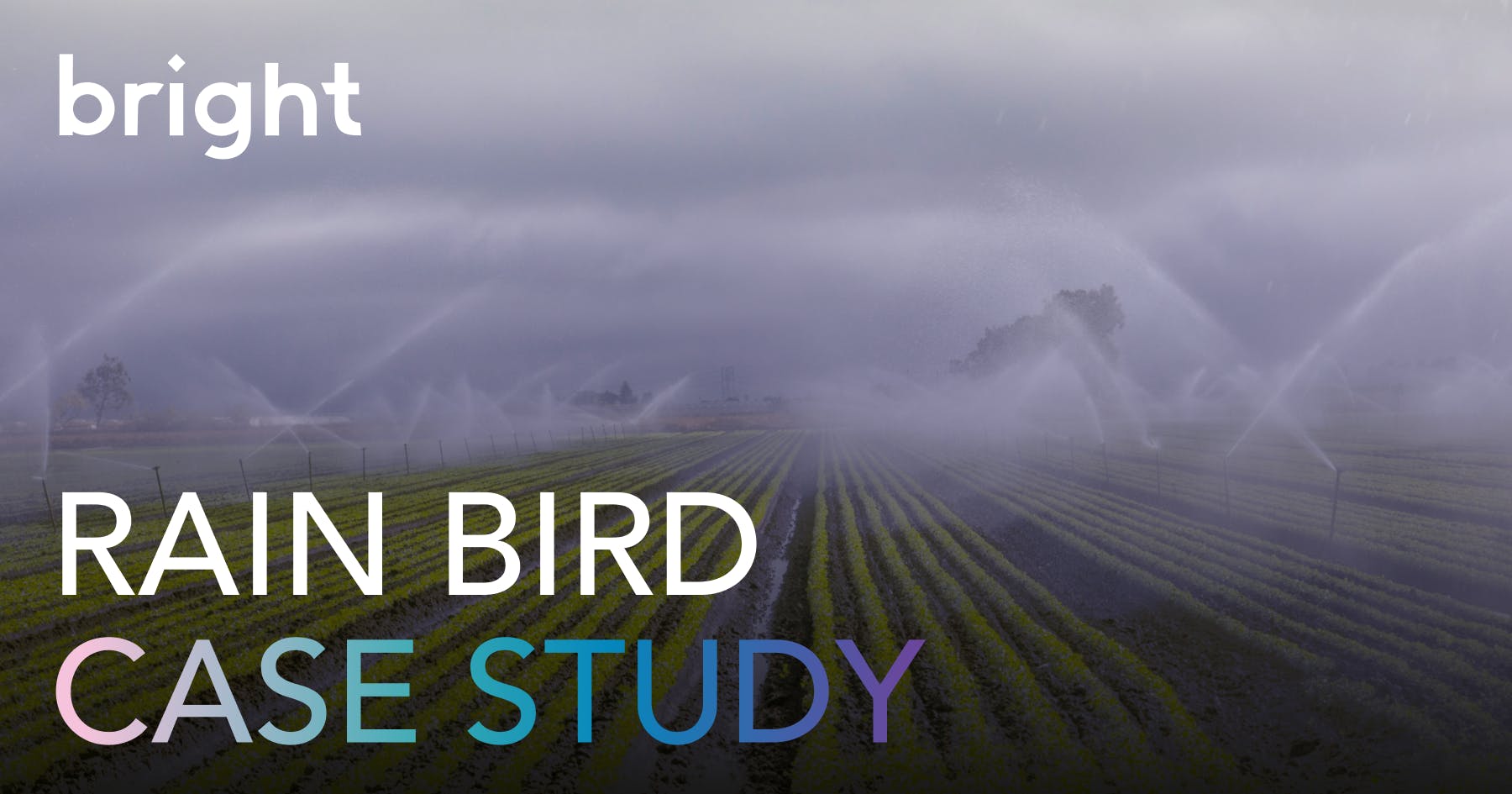 Rain Bird | Bright Development Case Study