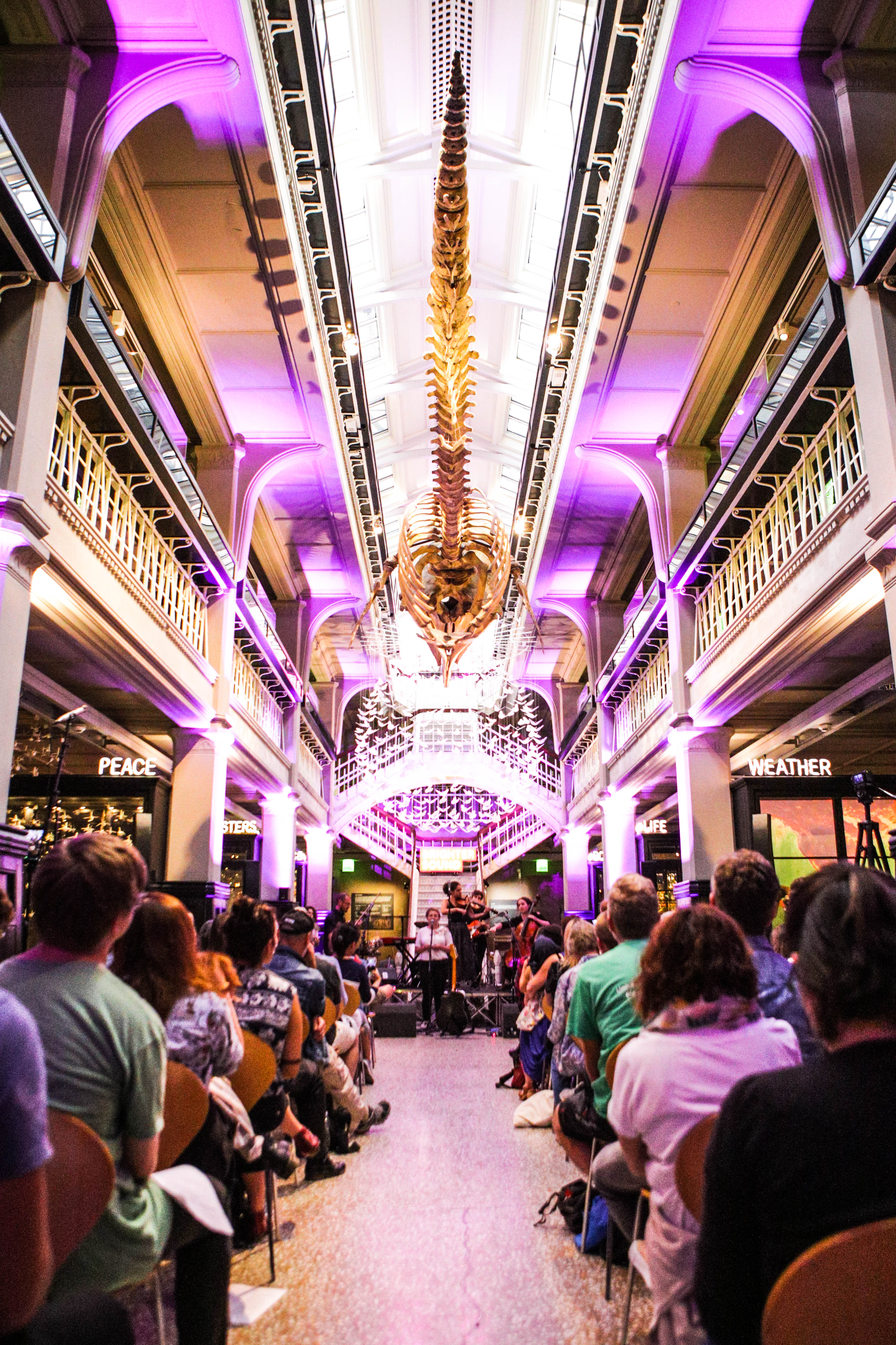 Music at the Museum with Firefly Burning | Brighter Sound