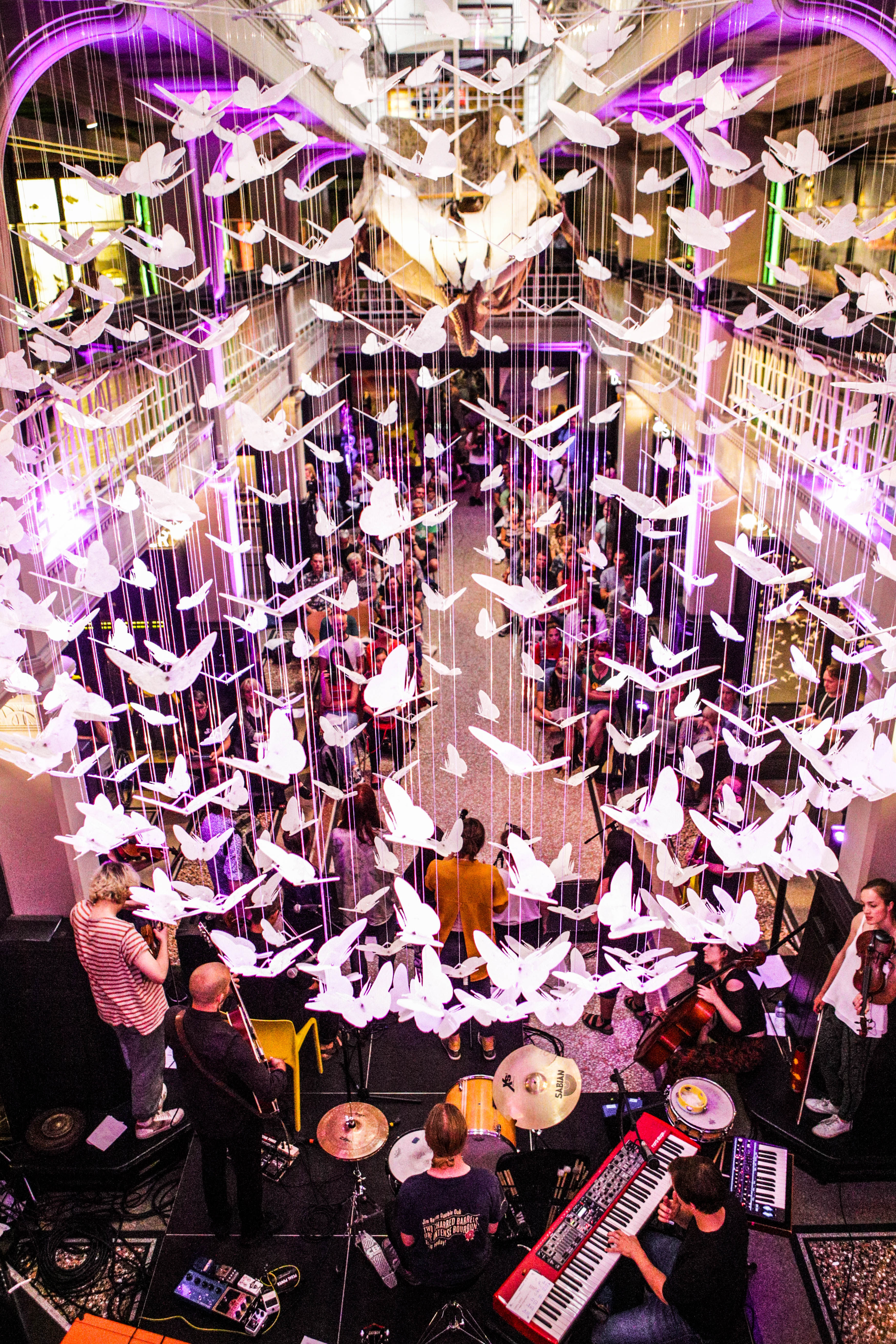 Music at the Museum with Firefly Burning | Brighter Sound