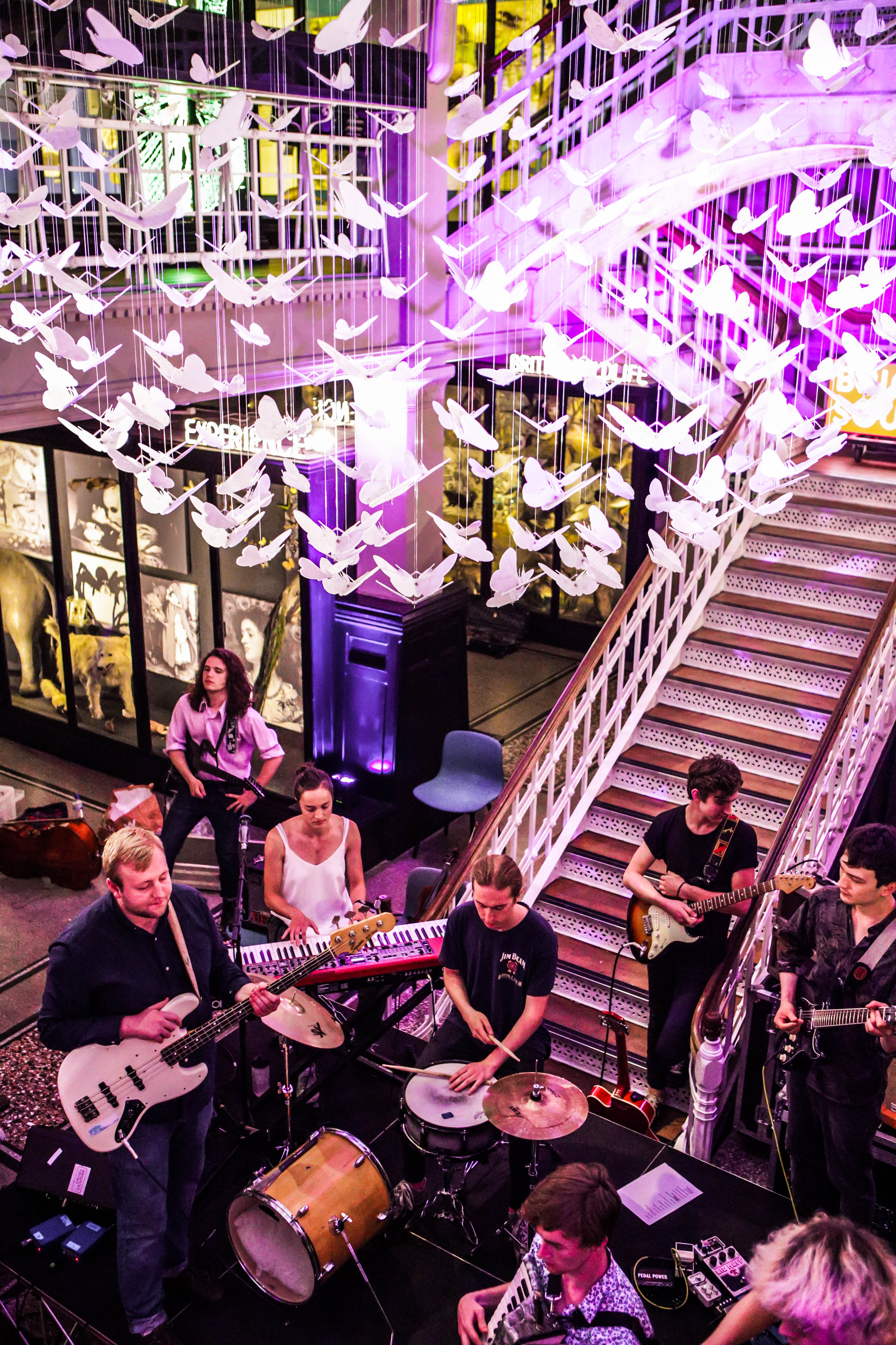 Music at the Museum with Firefly Burning | Brighter Sound