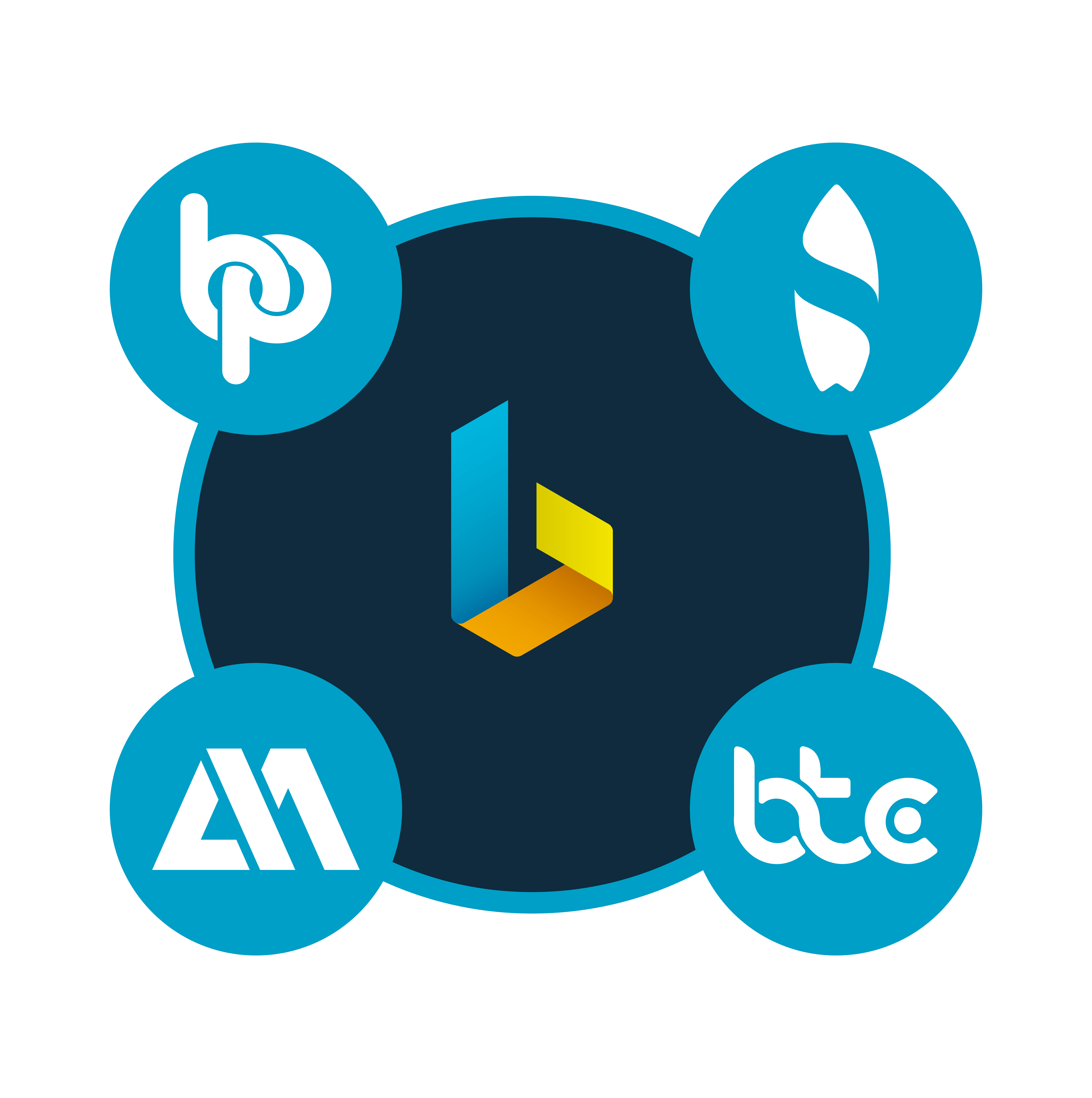 Software Program Logos