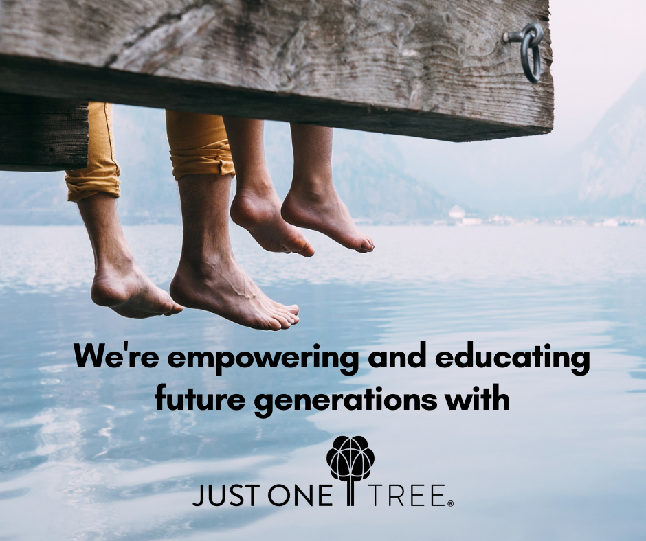 与JUST ONE Tree携手合作 | Bright World