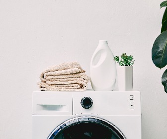 What is it like living with a host family? | Bright World