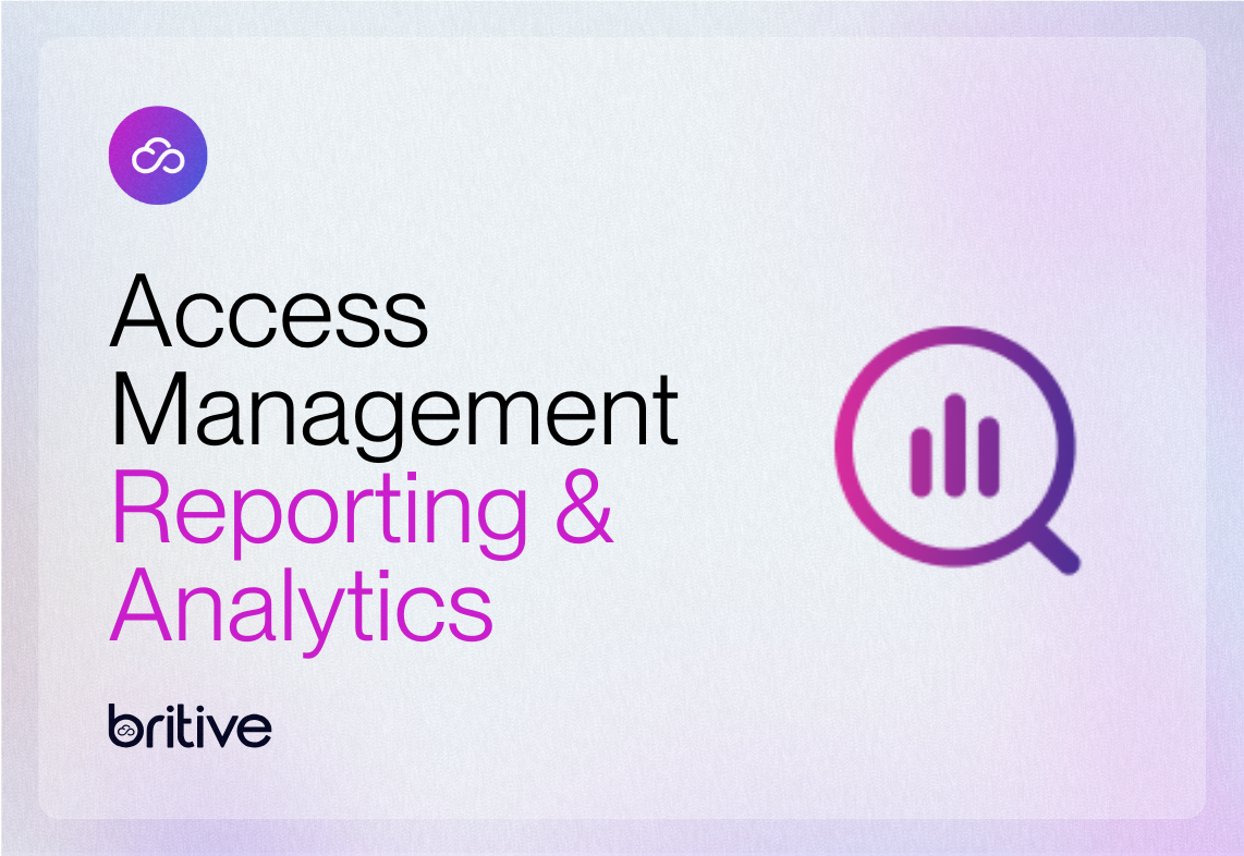 Access Reporting Analytics Britive