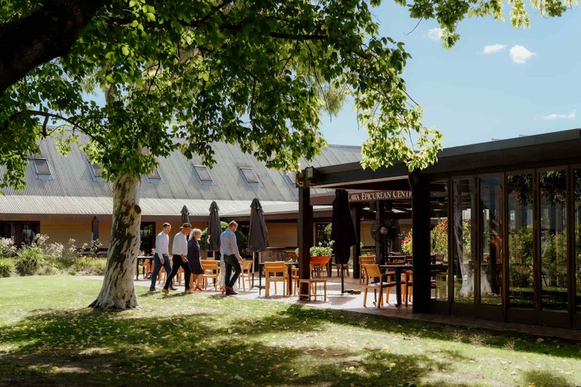 Contact Us | Brown Brothers