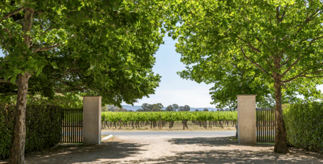 48 hours in Milawa: Your Guide to Northeast VIC and the home of Brown ...