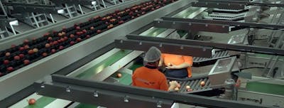 BVA Group | New Zealand Fresh Produce Exporter | Global Supplier