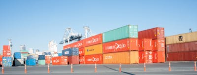 BVA Group | New Zealand Fresh Produce Exporter | Global Supplier