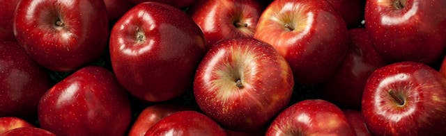 About BVA Group | Our History, Team & Worldwide Reach