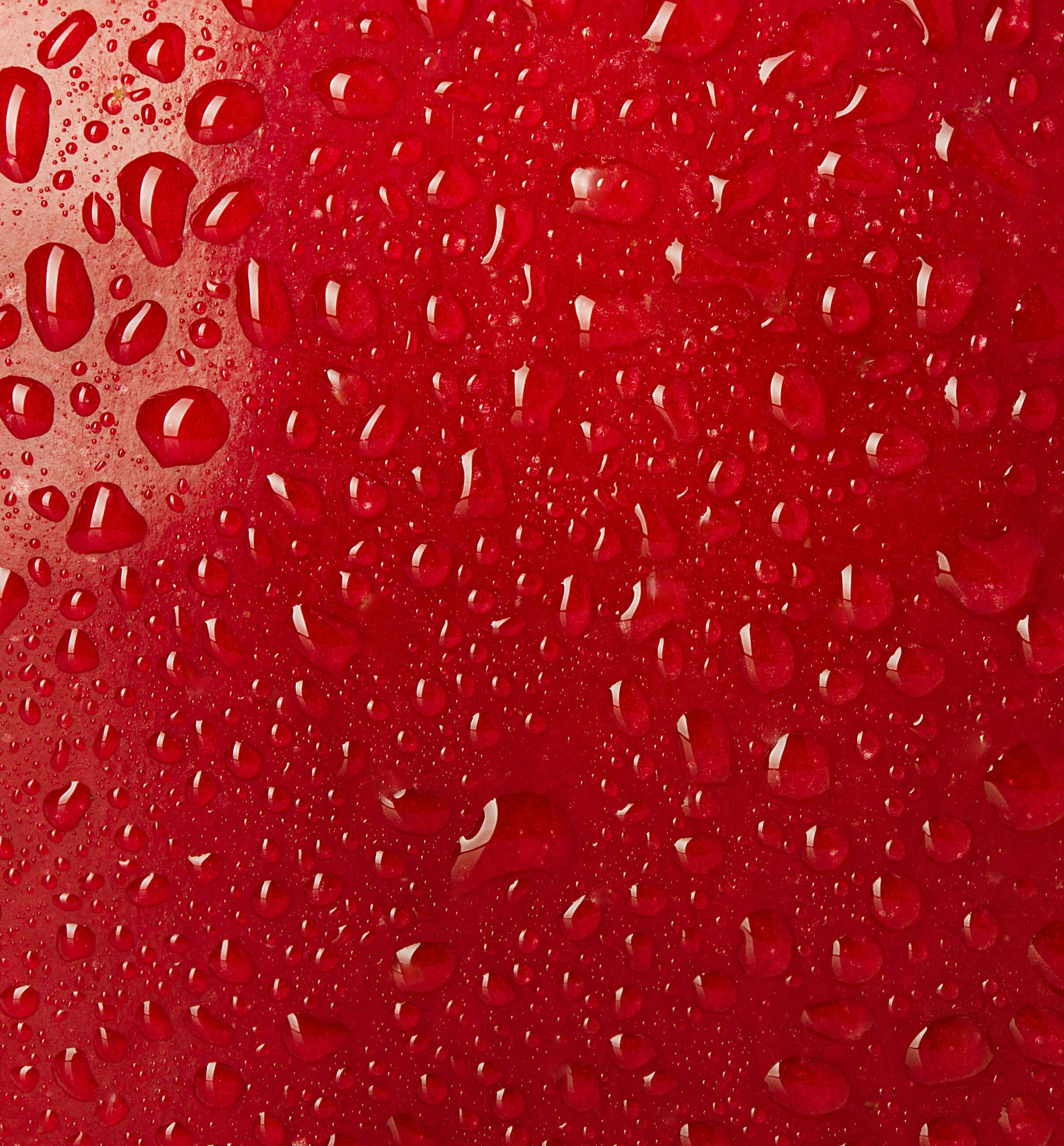 BVA Group | New Zealand Fresh Produce Exporter | Global Supplier