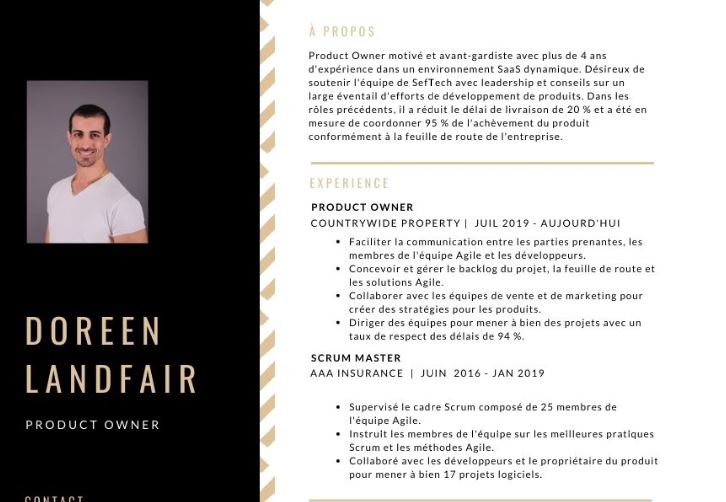Exemple de CV de Product Owner - Cadremploi