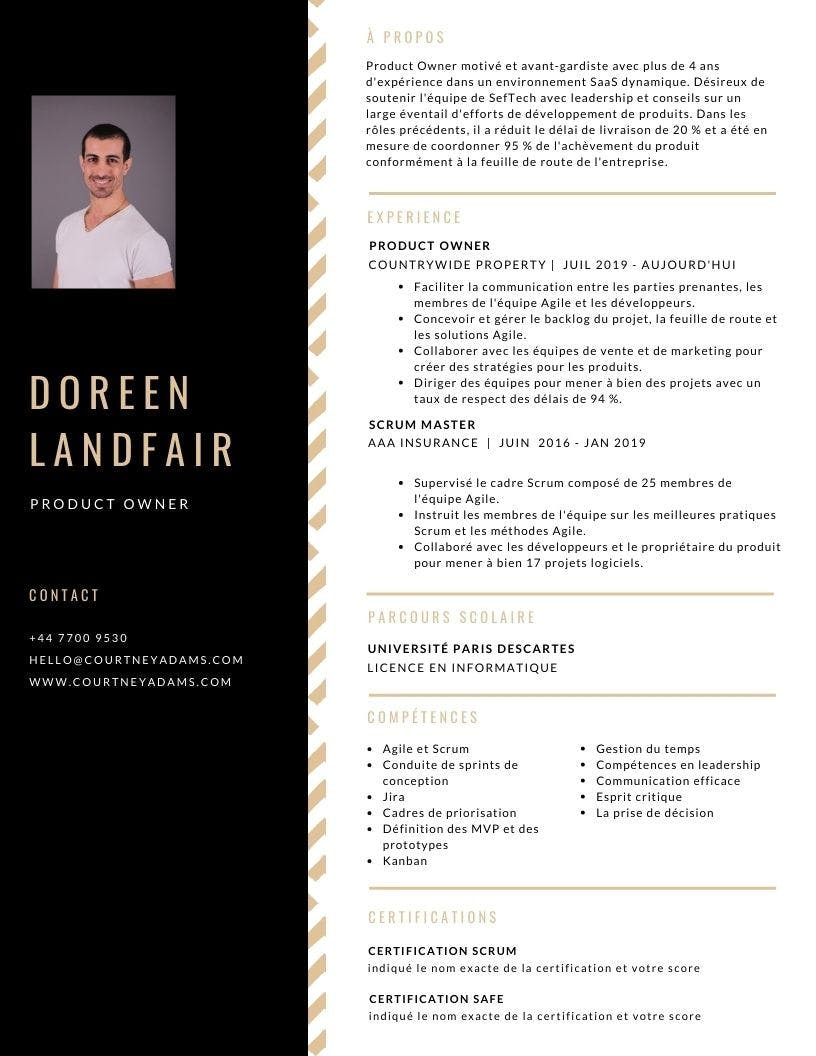 Exemple de CV de Product Owner - Cadremploi