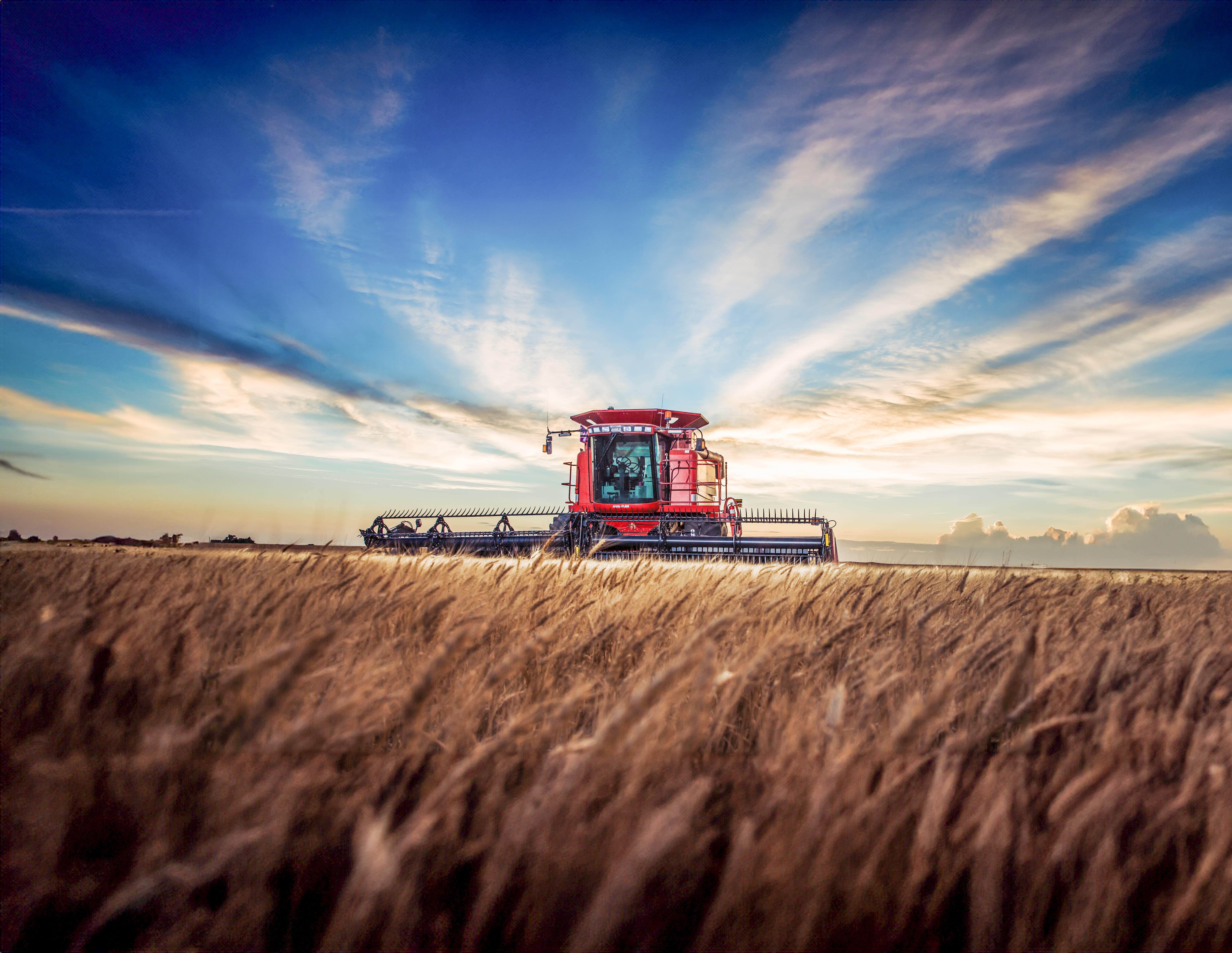 Alberta Next | Calgary Chamber of Commerce