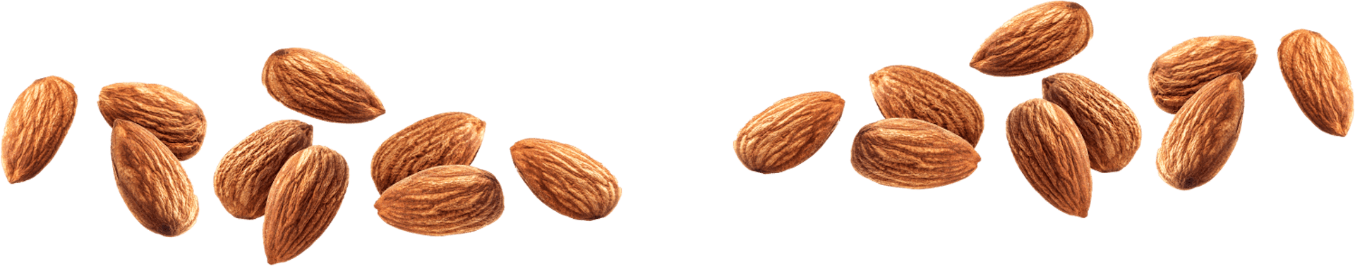 Campos Brothers Farm