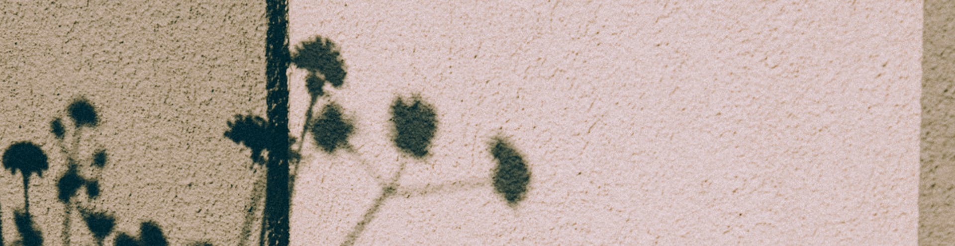 Microdosing Cannabis for Wellness | Canopy Crossroad Red Bank NJ