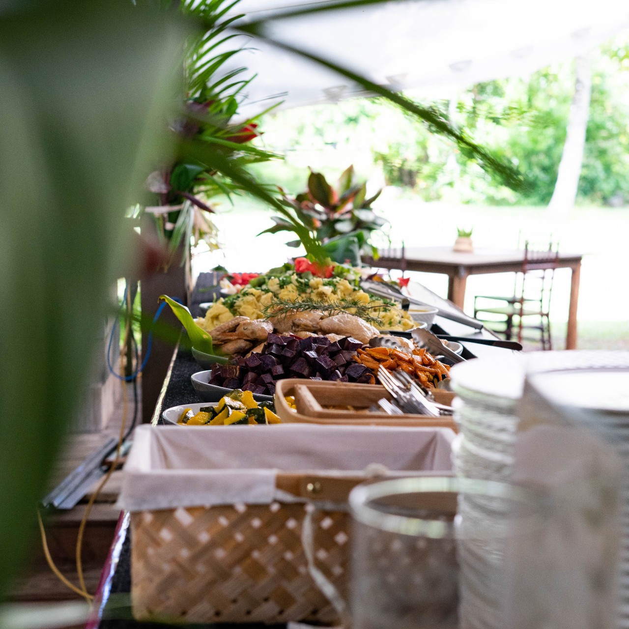 Agroforestry Farm Tour | Common Ground Marketplace