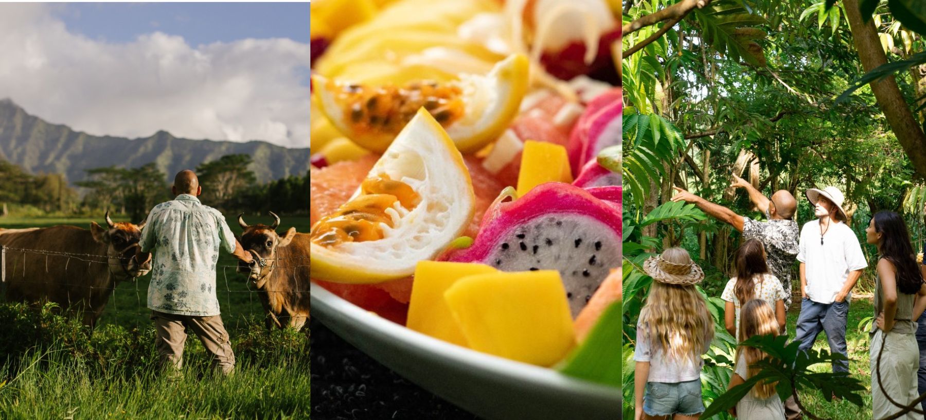 Agroforestry Farm Tour | Common Ground Marketplace