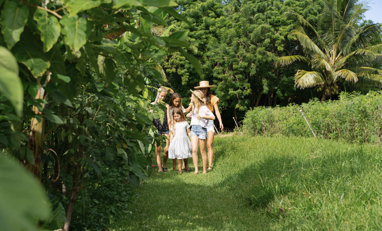 Kauai Regenerative Farm & Food Experience | Common Ground Marketplace