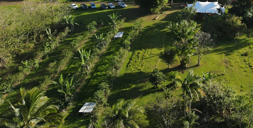 Agroforestry Farm Tour | Common Ground Marketplace