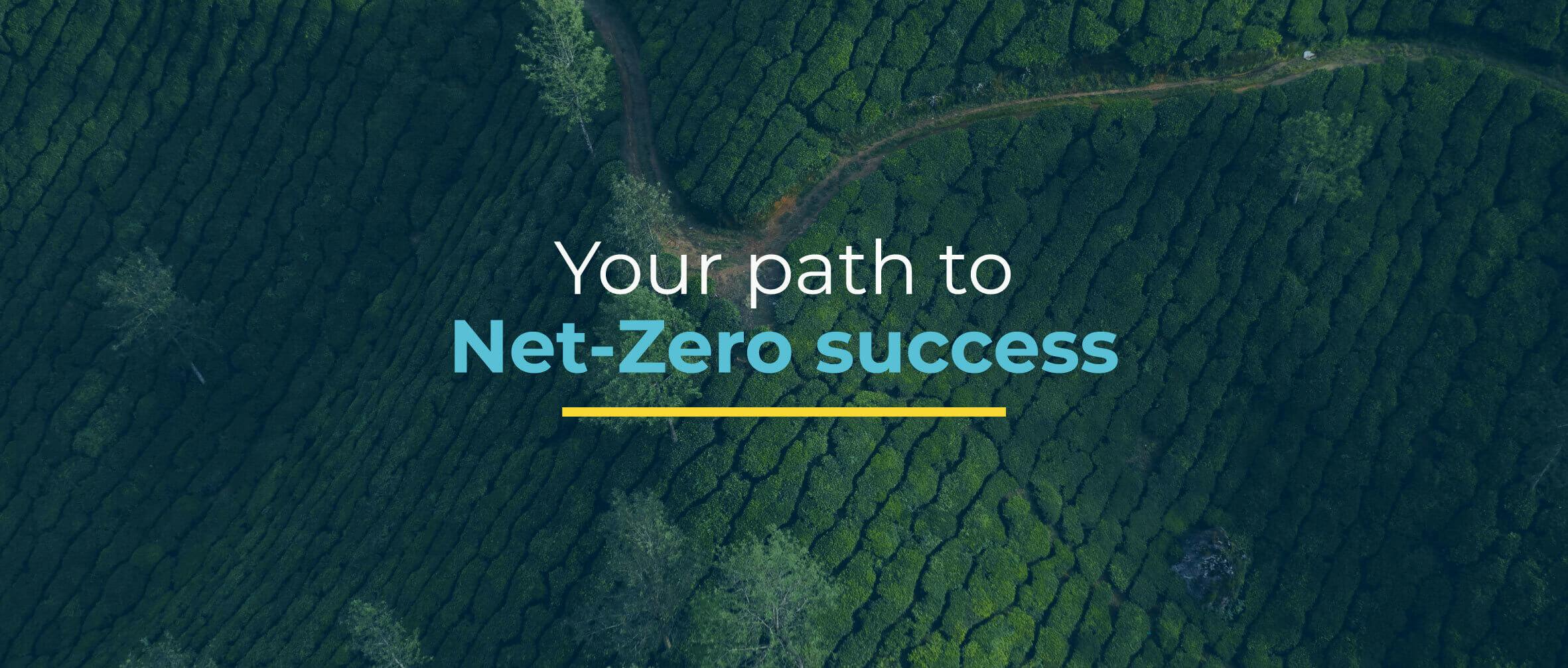 Why Net Zero | carbmee