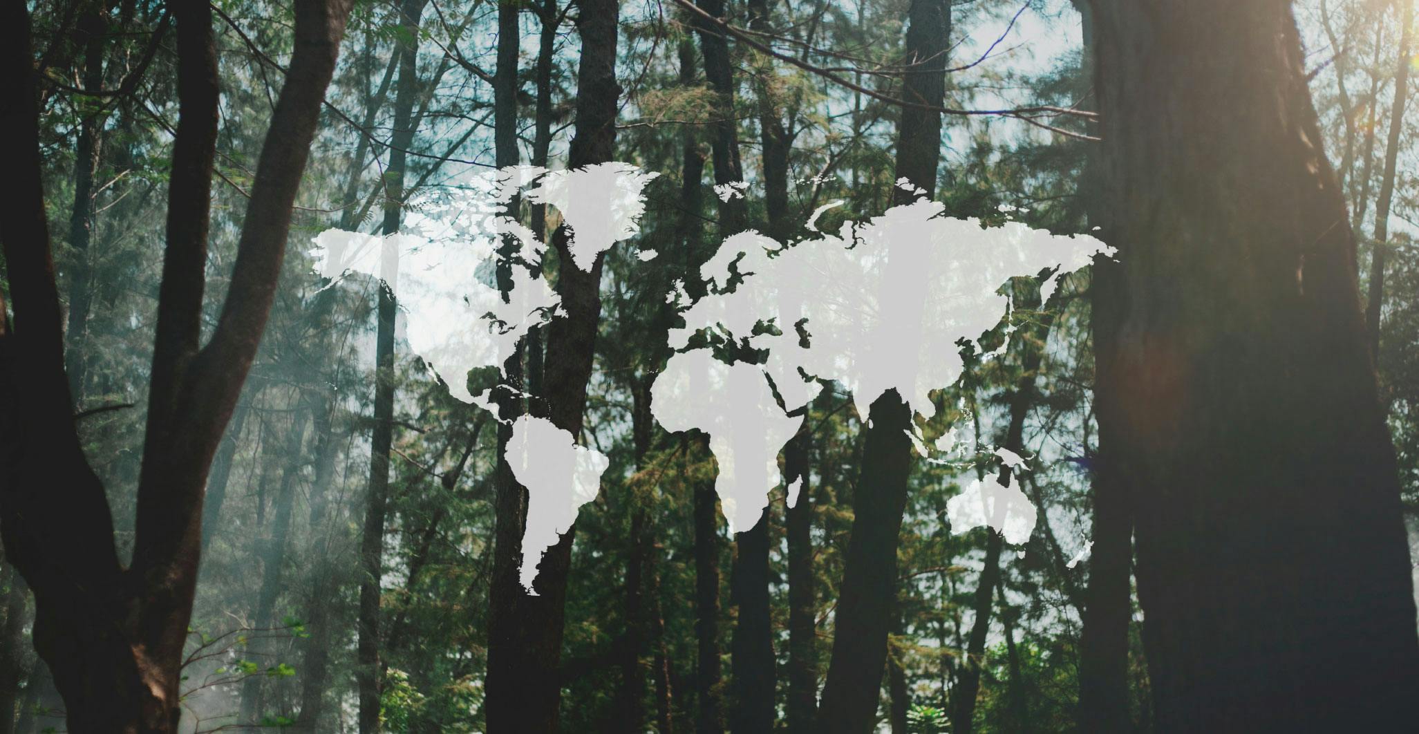 Mastering CBAM Compliance for Sustainable Trade with carbmee EIS™ | Carbmee