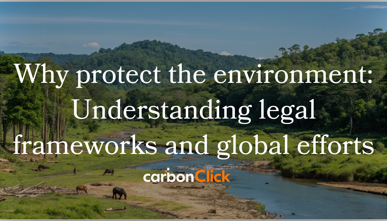 Why protect the environment: Understanding legal frameworks and global ...