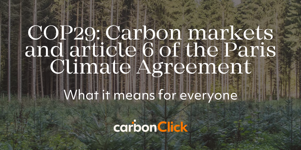 COP29: Carbon markets and article 6 of the Paris Climate Agreement ...