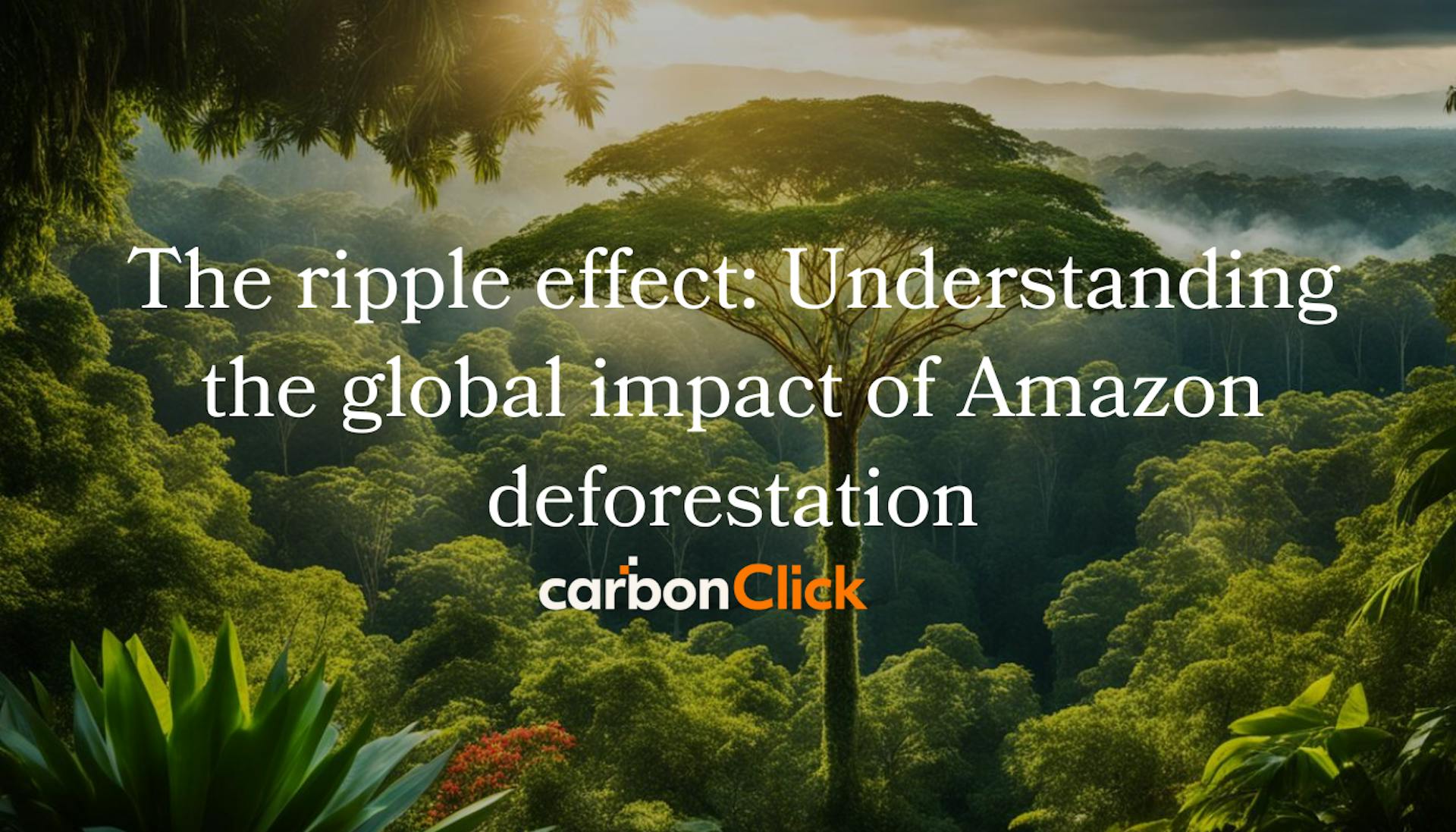 The ripple effect: Understanding the global impact of Amazon deforestation