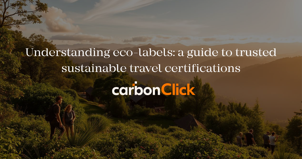 A complete guide to community-based tourism platforms