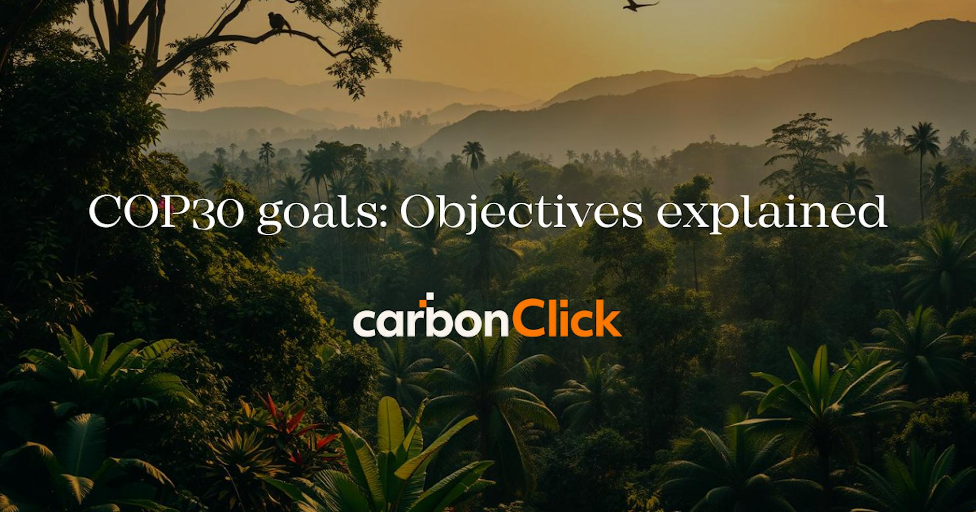 COP30 goals: Objectives explained