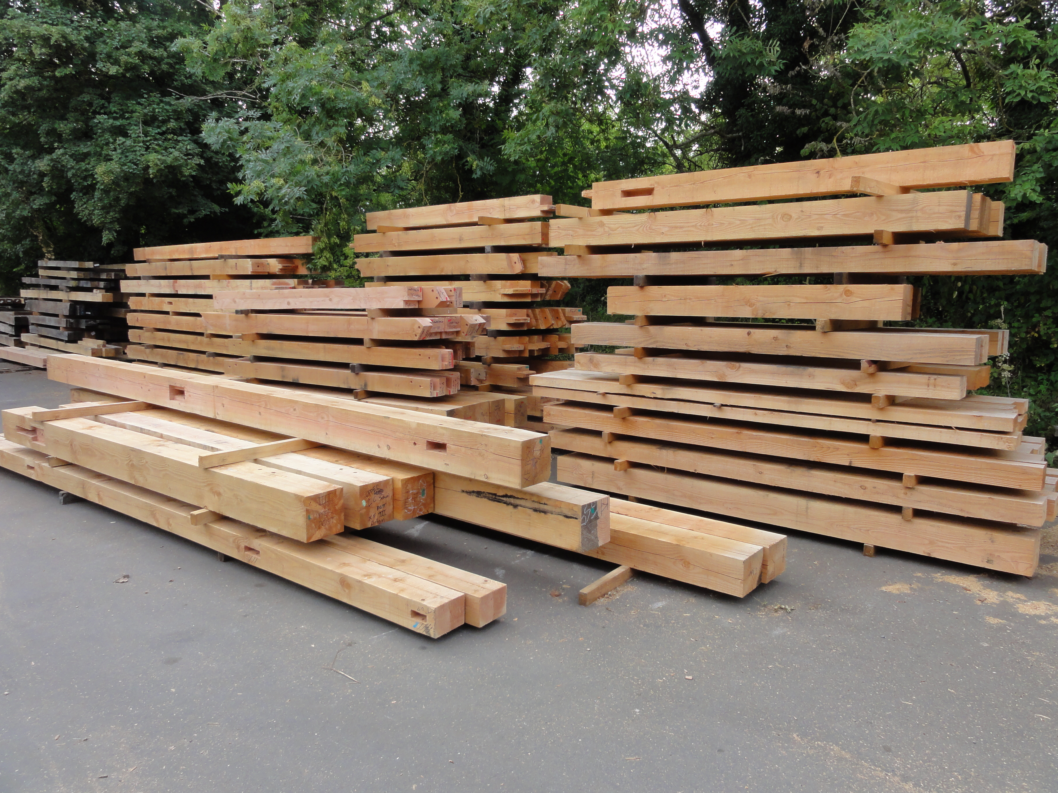 Blog: Timber grading - how do you and why do you grade timber?