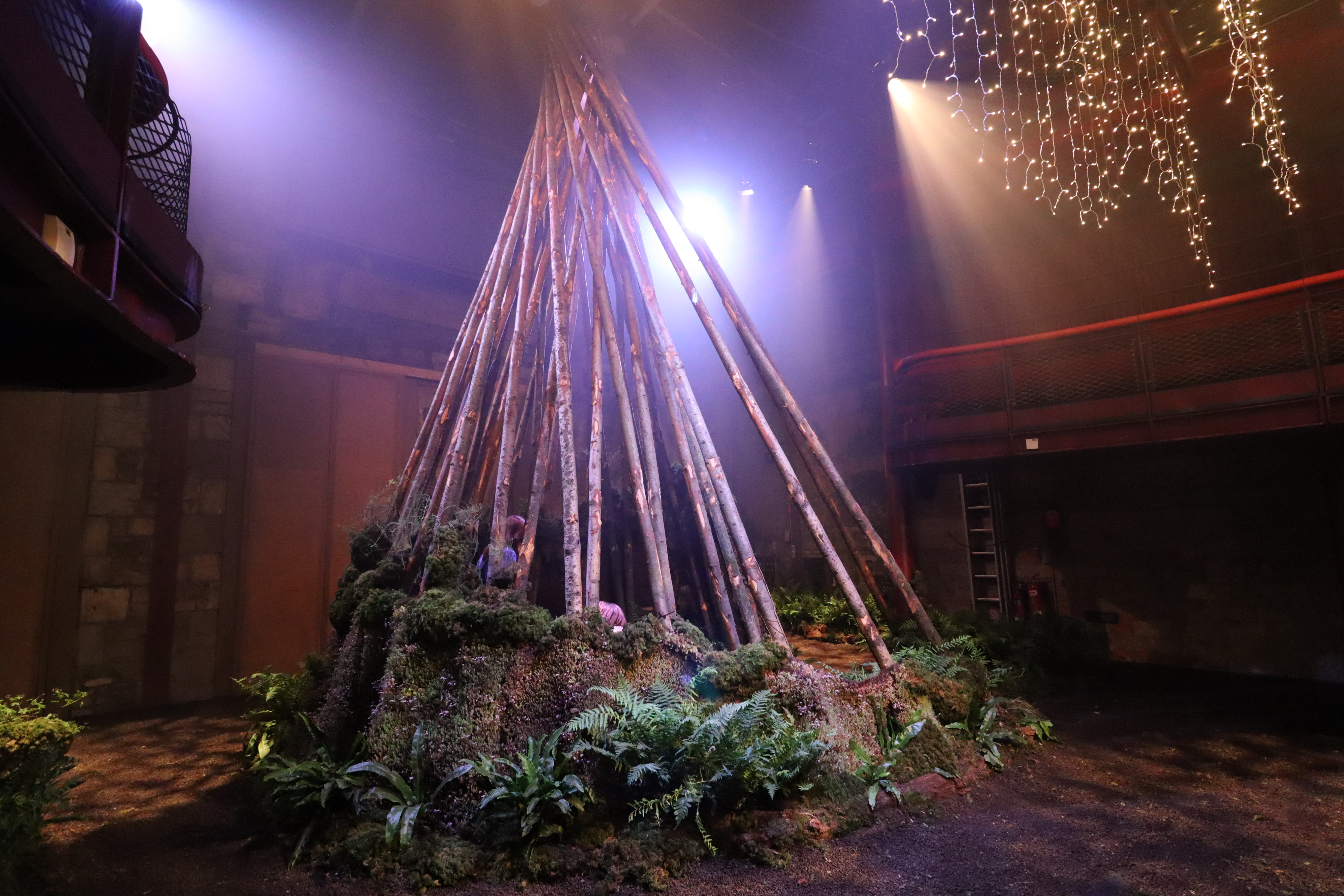 Forest of Imagination installation inspires future generations