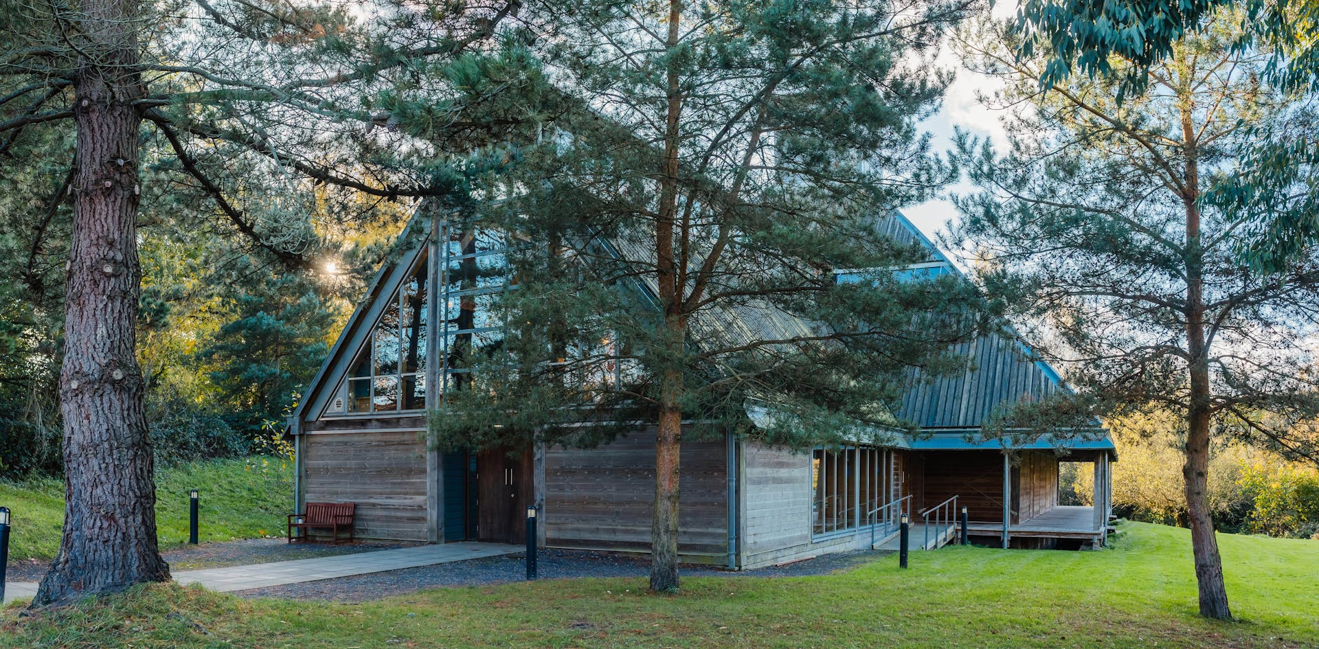 Timber Frame - The New Bedales School Theatre – Carpenter Oak