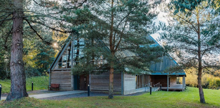 Timber Frame - The New Bedales School Theatre – Carpenter Oak