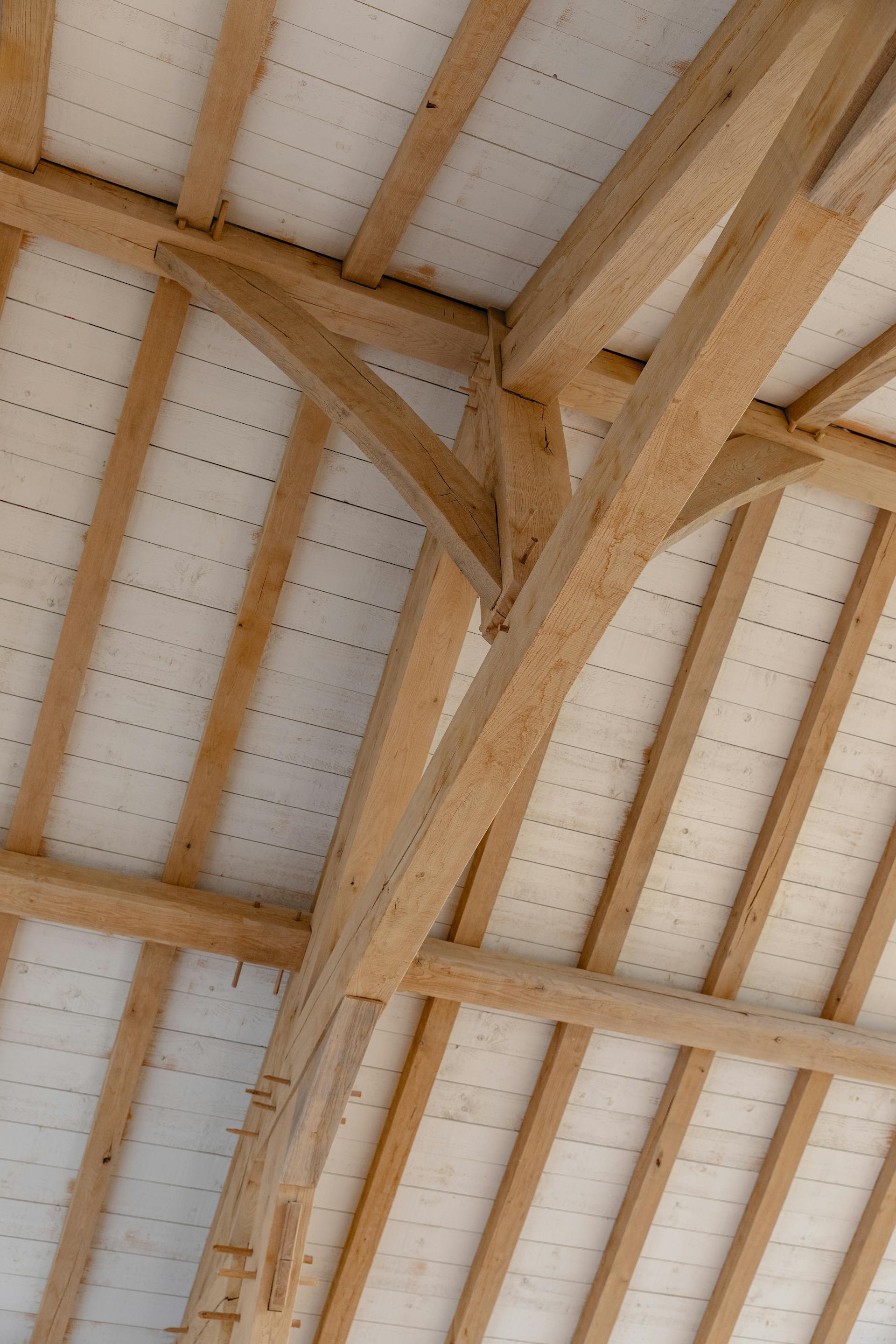 New Forest Extension – Carpenter Oak