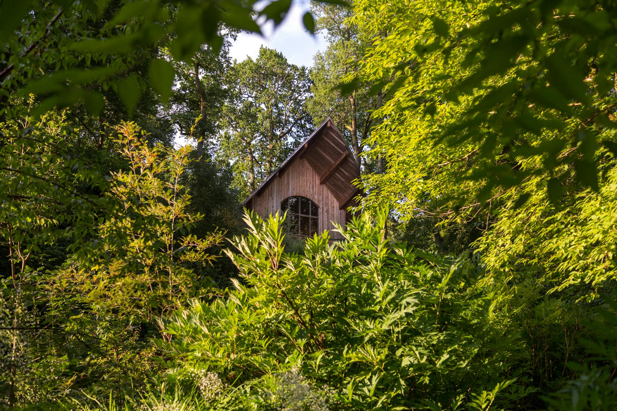 Douglas Fir Timber Frame for David Douglas Tribute – Carpenter Oak