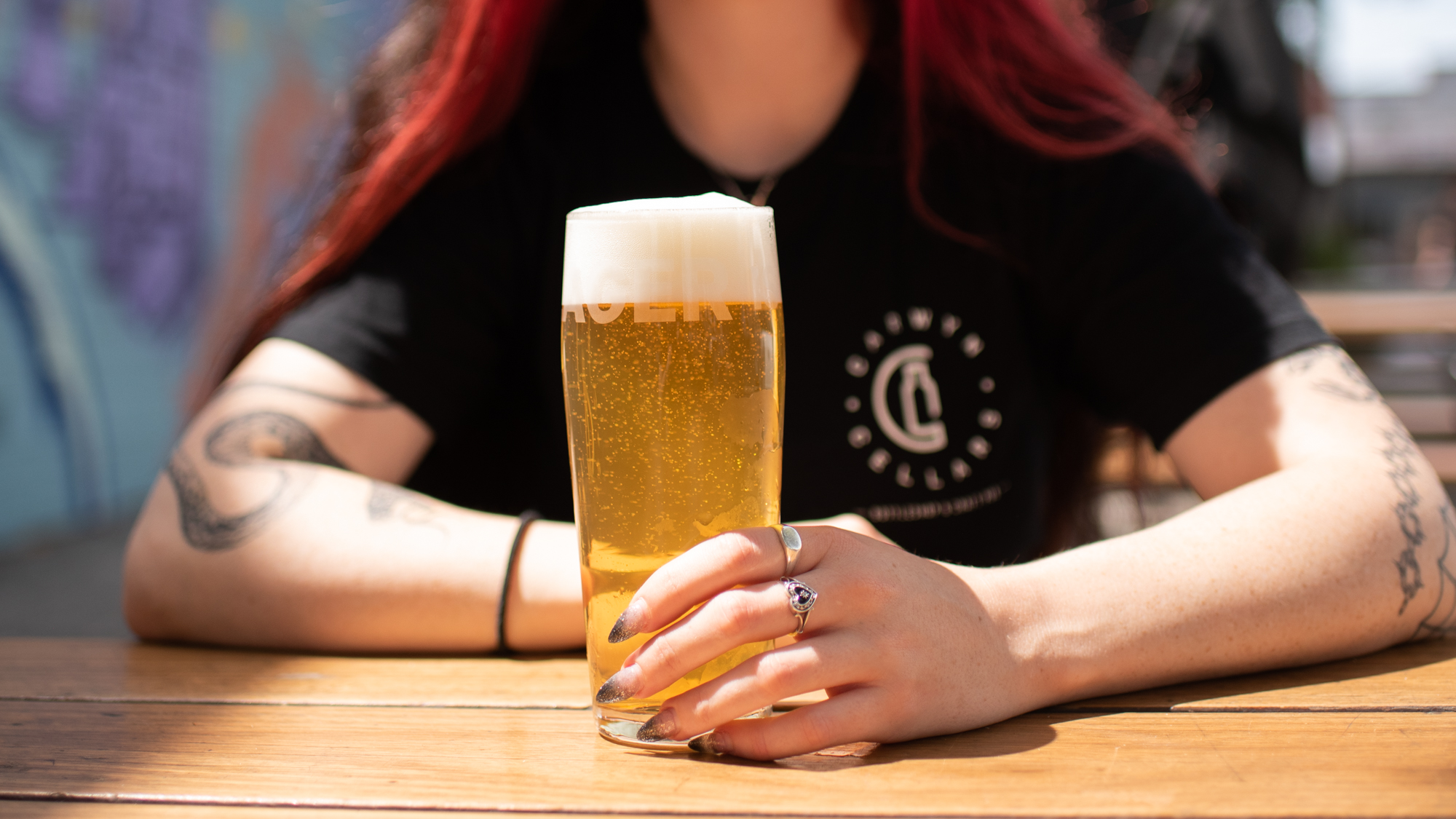 Lager is King: Vol 3 - Aussie Edition – Carwyn Cellars