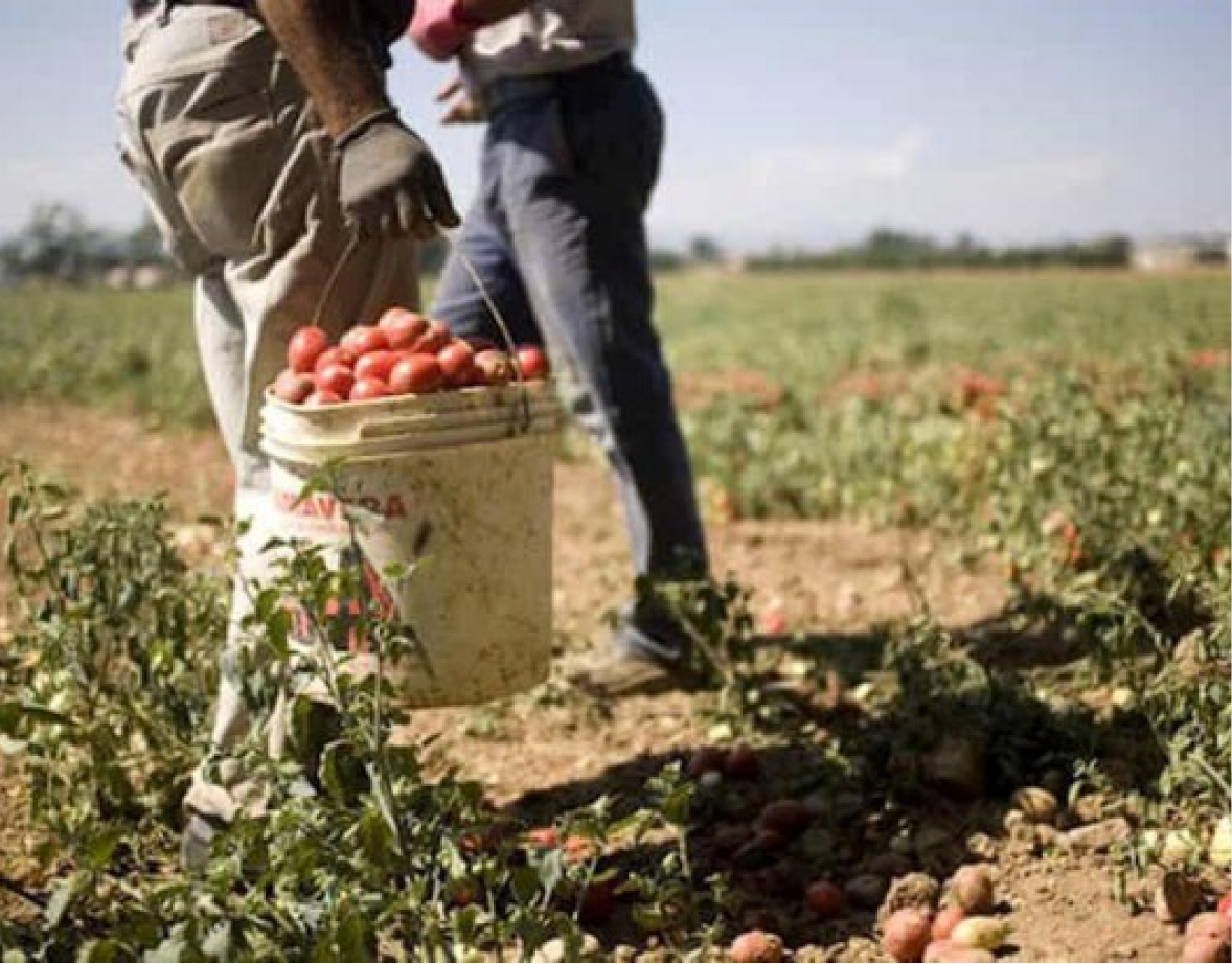 About us | Casinetto